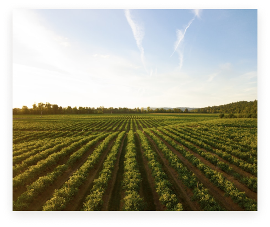 Farms - Jamaica Business Gateway
